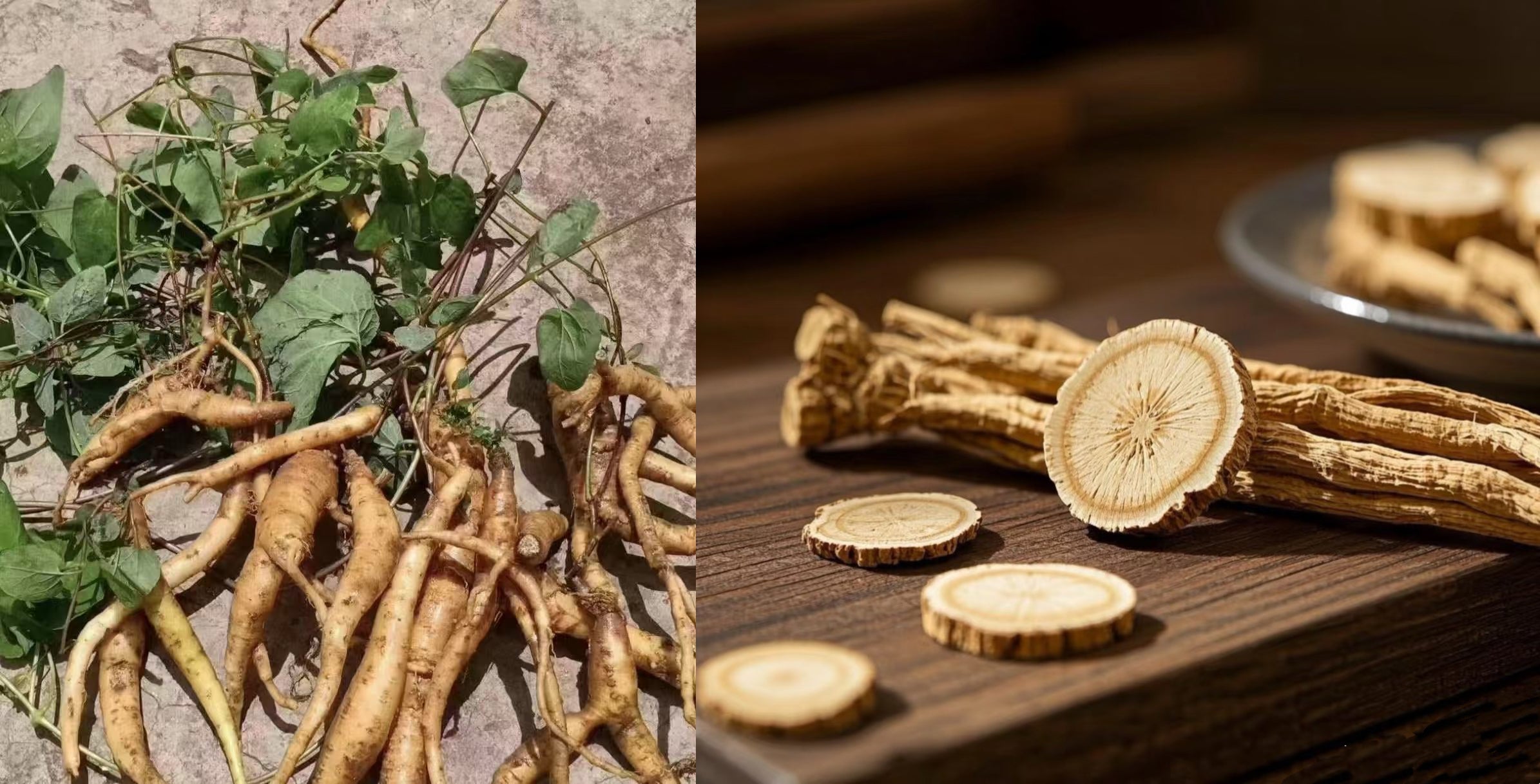 Codonopsis (Dang Shen) – AHRIVA